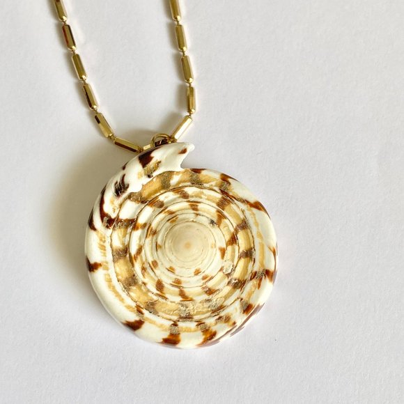Handmade | Jewelry | Natural Shell Shiva Nautilus Pendant Necklace ...